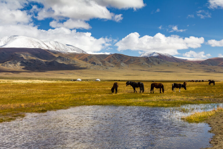 De ongerepte wildernis van Mongolië - Mayura lifestyle