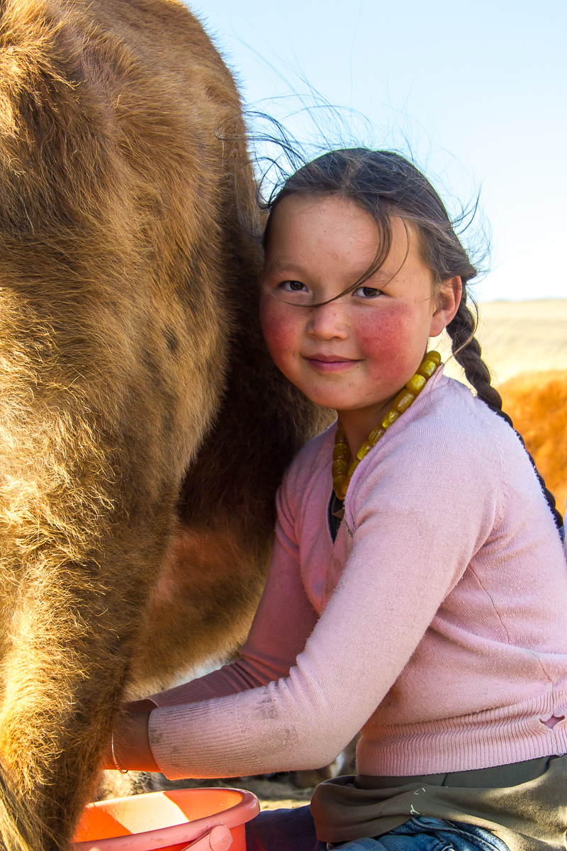 Mongolië: 25 leuke feitjes en weetjes - Mayura lifestyle