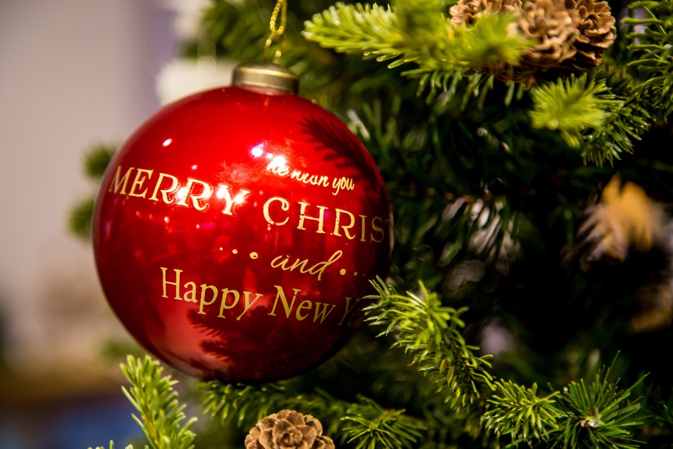 20 verrassende weetjes over Kerst die je écht nog niet wist! - Mayura ...